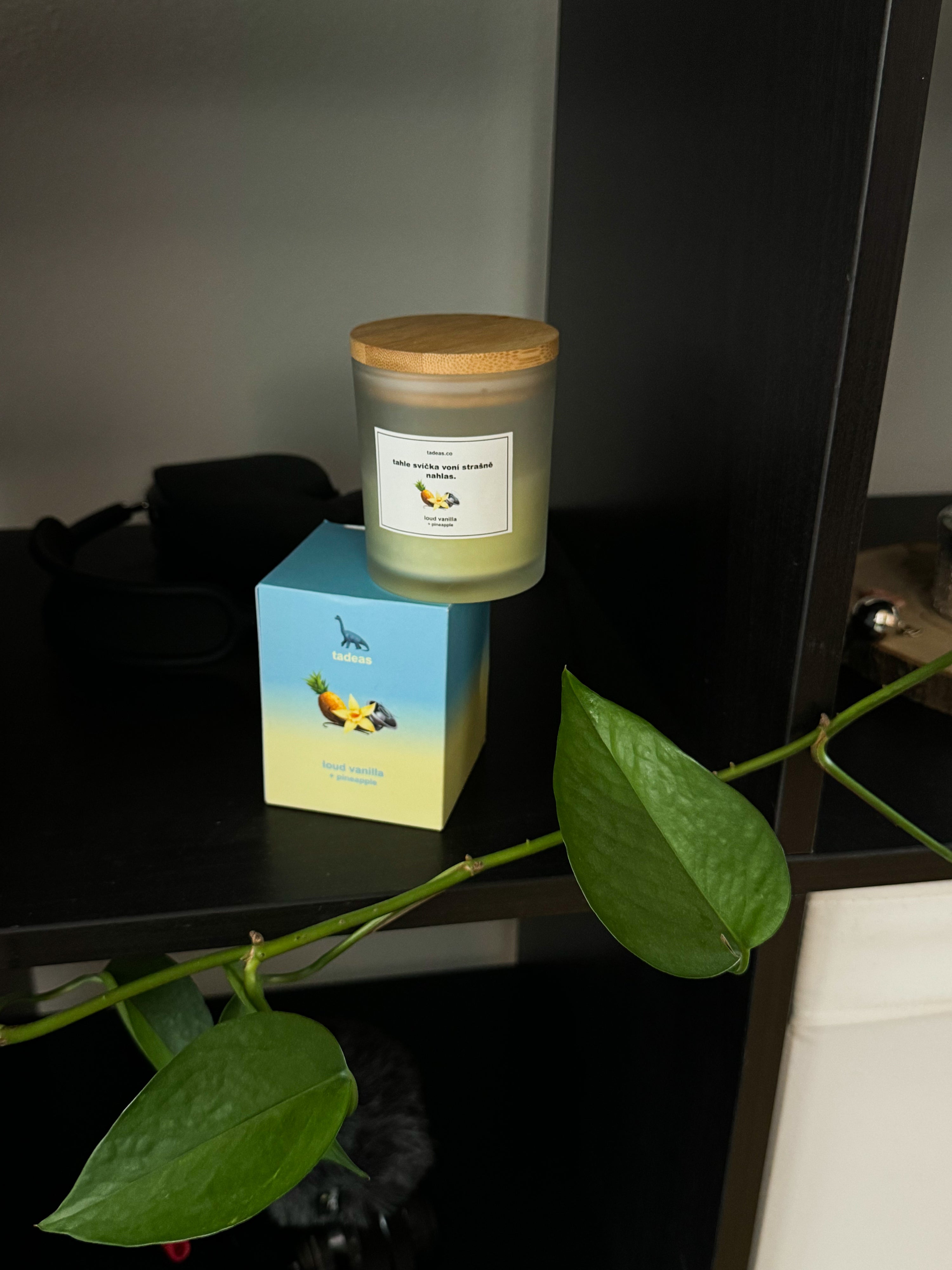 Kolekce – TADEAS.CO