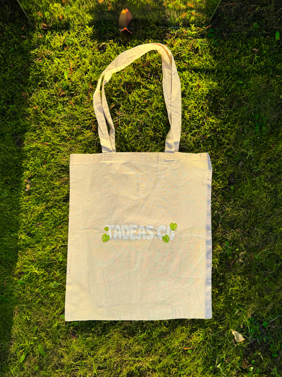 tadeas.co – TADEAS.CO